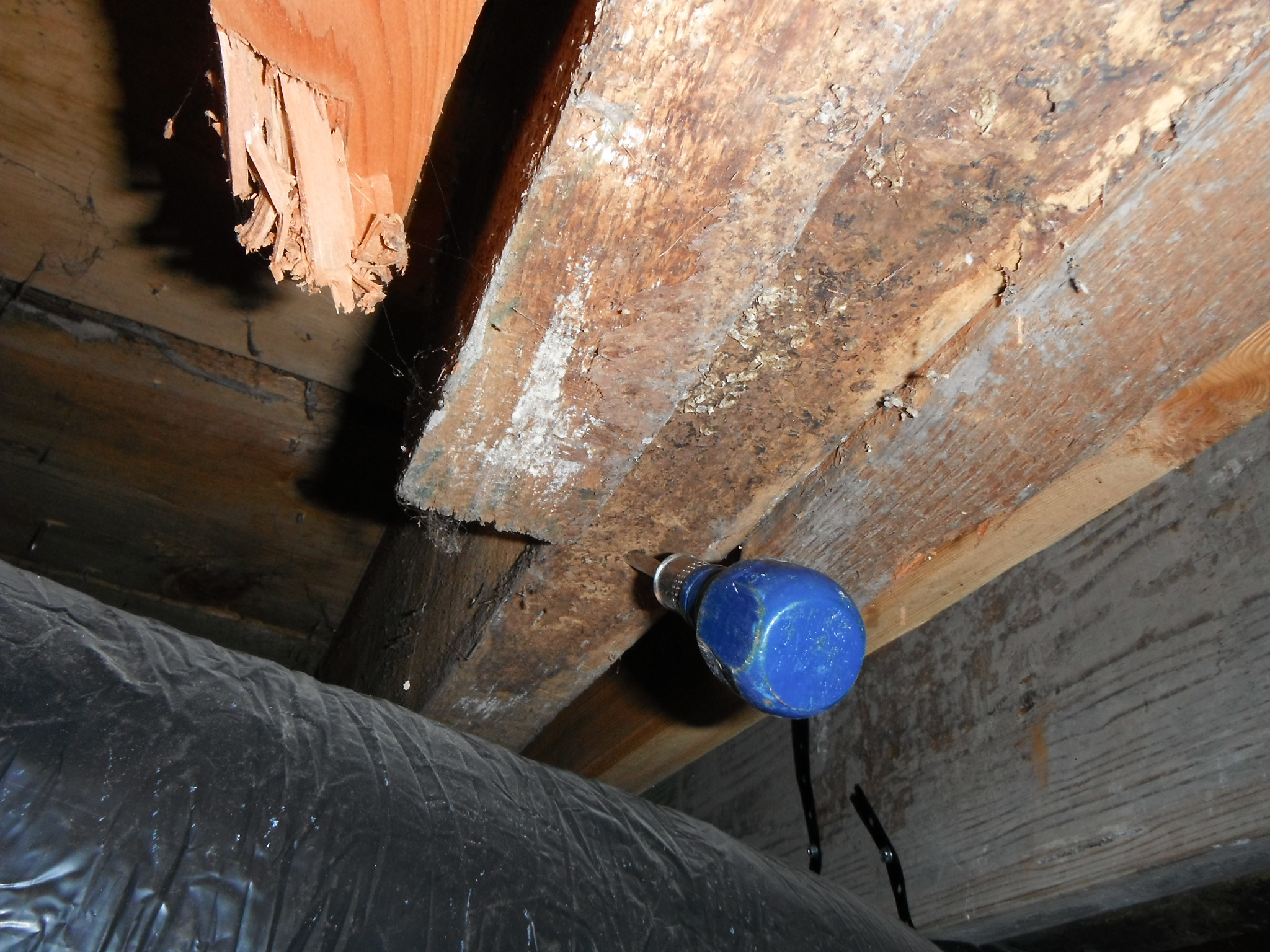 Home Inspection Clarkston, WA - Lewiston, ID | K&K Consultants